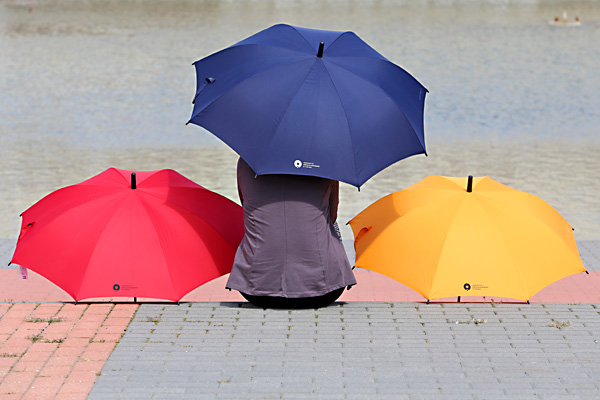 Parasol